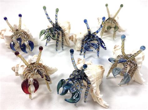 Glass Hermit Crab Shell