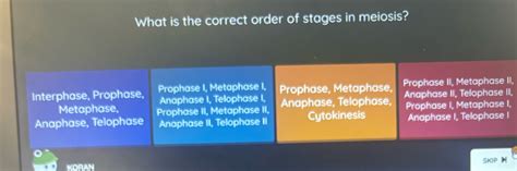 Solved What Is The Correct Order Of Stages In Meiosis Interphase Prophase Prophase I