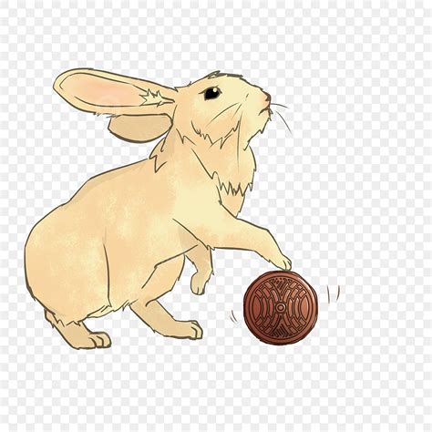 자유형 추석 일러스트 옥 토끼 월병 8월 15일 전 추석 자유형 Png 일러스트 및 Psd 이미지 무료 다운로드 Pngtree