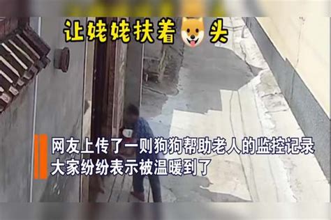 太暖心！狗狗用身体支撑帮助老人上坡，比人都有人情味用身体比人狗狗