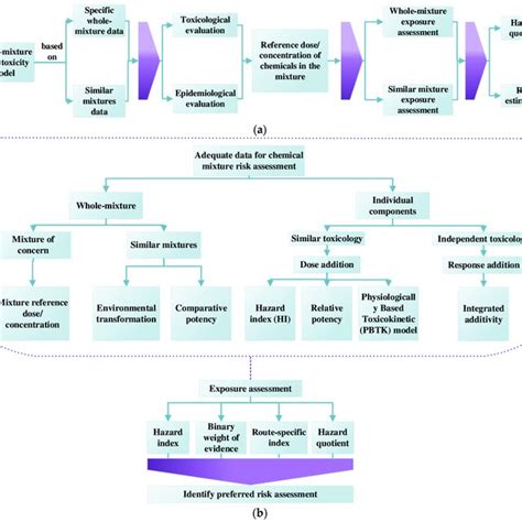Individual And Whole Mixture Based Toxicity Models For Exposure