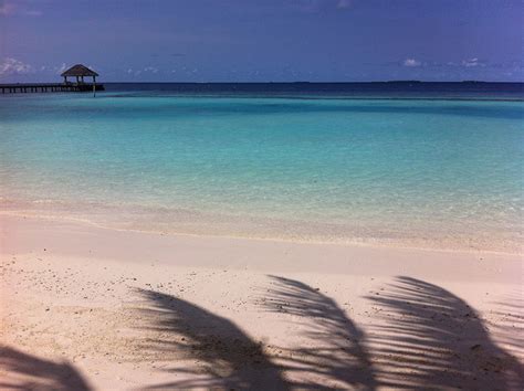 在Python中如何差分时间序列数据集 ATYUN 官网 人工智能教程资讯全方位服务平台