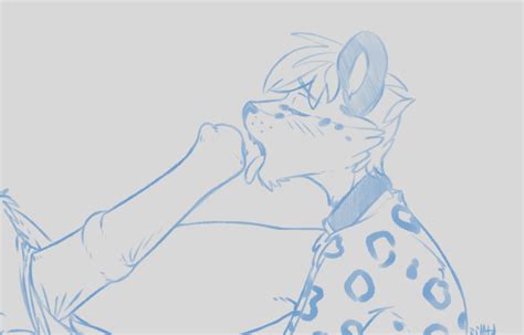 Rule 34 Animal Genitalia Animal Penis Balls Collar Equine Equine