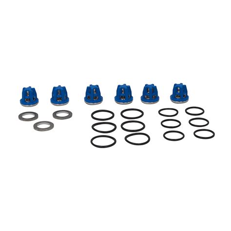 valve kit pentair hypro 9915 kit2103 pump repair kits and accessories pump accessories water