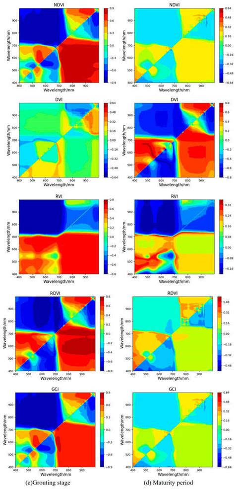 Applied Sciences Free Full Text Estimation Of Chlorophyll Content In Wheat Based On Optimal