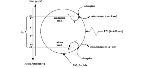 Principles Of Photocatalysis Using Tio 2 Download Scientific Diagram