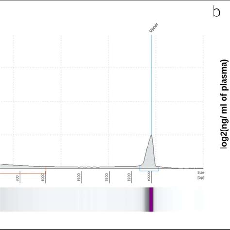 A Representative Electropherogram Of Cfdna Sample Fragment Size Of