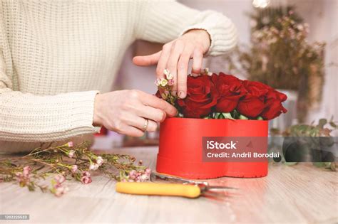 빨간 장미와 상자를 만드는 꽃집 꽃집 여자 꽃으로 모자 상자를 만드는 과정 가위에 대한 스톡 사진 및 기타 이미지 가위