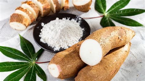 Cassava Processing Methods
