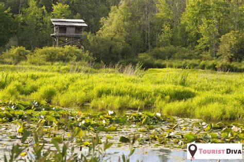 21 Best And Fun Things To Do In Bainbridge Island Wa