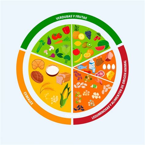 El Plato Del Bien Comer Una Iniciativa Que Te Orienta Para Organizar