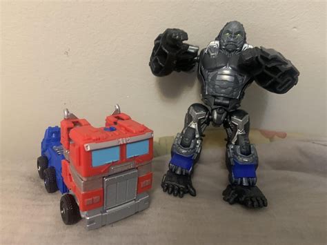 Custom Rotb Prime Primal R Transformers