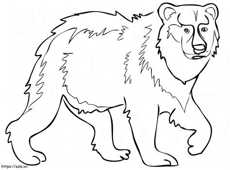 Eurasian Brown Bear Coloring Page
