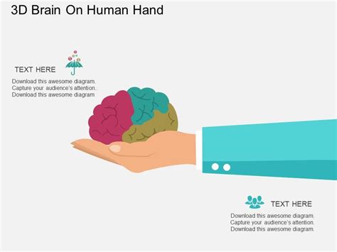 D Brain On Human Hand Powerpoint Templates