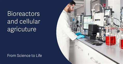 Getinge Cellular Agriculture Bioreactors 1200x628 Getinge