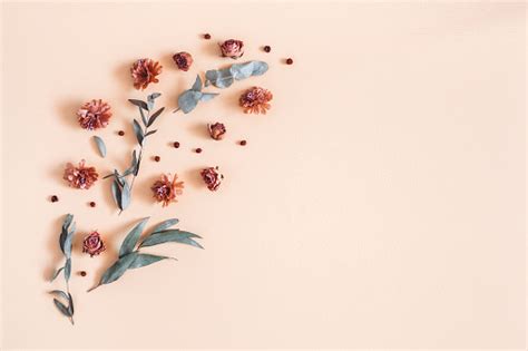가을 구성 말린 꽃 유칼립투스 잎 베이지 색 배경의 열매로 만든 패턴 가을 가을 추수 감사절 개념입니다 플랫 레이 상단 보기 복사 공간 꽃 식물에 대한 스톡 사진 및 기타