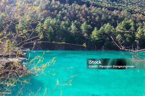 블루 문 밸리의 아름다운 랜드 마크와 리장 올드 타운 근처 옥 드래곤 스노우 마운틴 경치 지역 내부 관광 명소에 대한 인기있는 장소 리장 윈난 중국 0명에 대한 스톡 사진