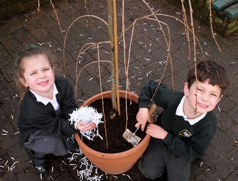Beenham Primary School Pupils Get Lesson In Positivitree