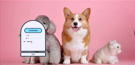 Springbootjavaphpnodepython科学养宠【计算机毕设】 Csdn博客