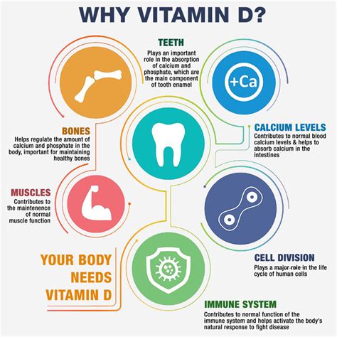 Vitamin D Sources Function And Deficiency Public Health Notes