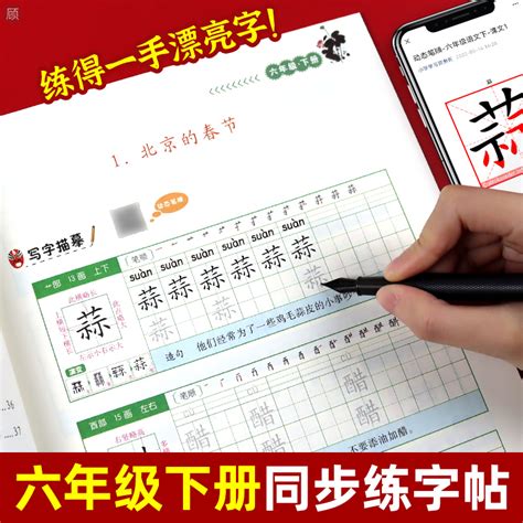 六年级笔顺大全六年级上册的笔顺六年级上册写字表笔顺第10页大山谷图库