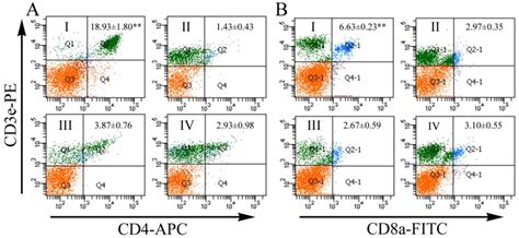 Detection Of Lymphocyte Subsets In Spleen Using Flow Cytometry The