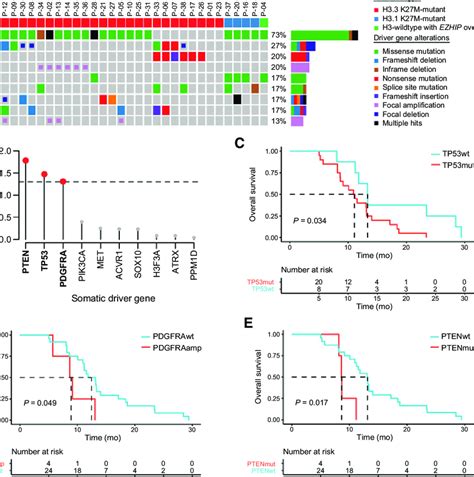 Somatic Tp53 Pten And Pdgfra Alterations Are Associated With Clinical Download Scientific