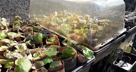 Propagator Lockdownlearning72984