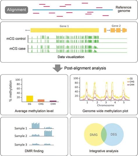 Whole Genome Sequencing Types And Applications Abcam