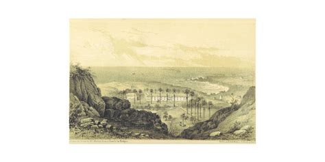 The Codrington Estates