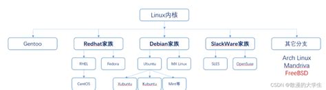 Linux基本命令linux Zc Csdn博客