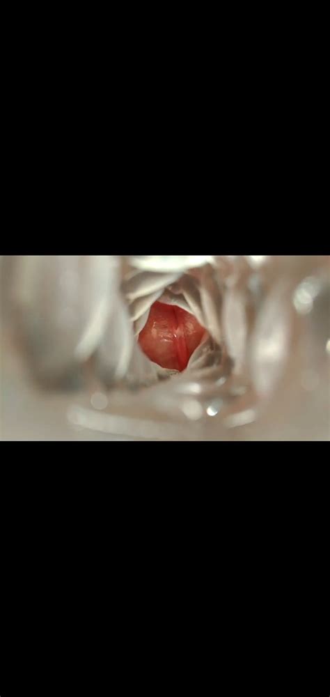 Close Up Inside A Toy ThisVid Com