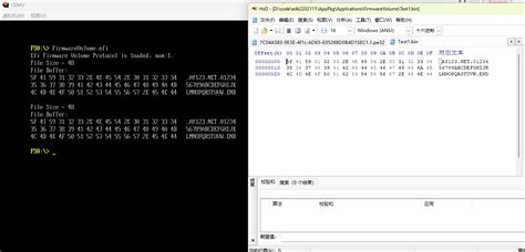 爱影博客 Uefi开发学习26 获取固件中的资源