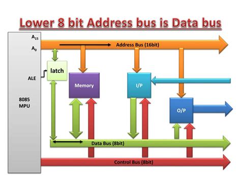 What Is Of Address Bus At Margurite Stokes Blog