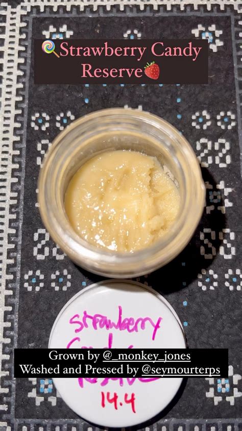 Strawberry Candy Reserve Seymour Terps R Mainetrees