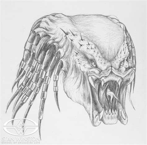 Predator Face Drawings Predator Original Scratchboard — Artness