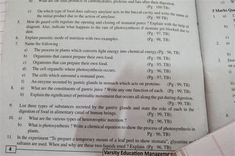 Pg99 Tb 5 How Do Guard Cells Regulate The Opening And Closing Of Sto