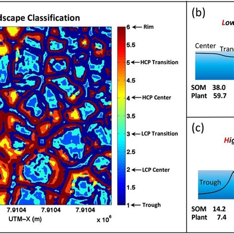 A The Landscape Classification Map For Area C 100 M × 100 M Red Download Scientific