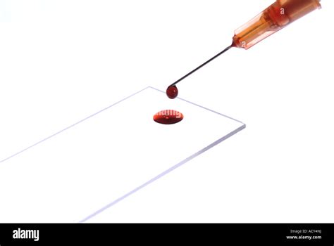 Hypodermic Needle Microscope At Eileen Crofts Blog