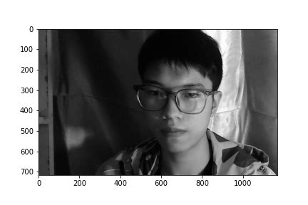 python实现图像灰度处理 阿里云开发者社区