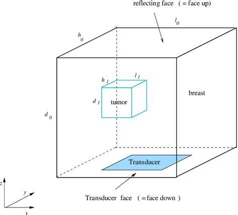 Configuration Of The Phantom Breast Model For The 3d Fetd Simulation