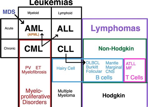 Can Someone Please Explain This Chart Rstep1