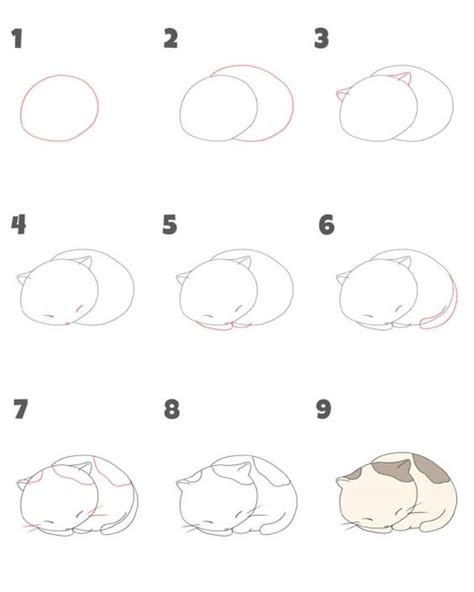 How To Draw A Sleeping Cat Step By Step Drawing Photos