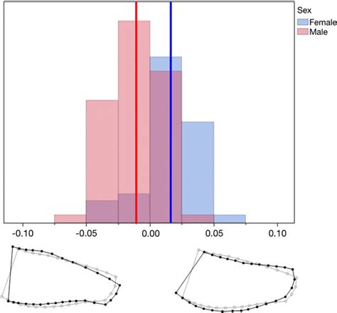 Wing Shape Divergence Between Male And Female Fork Tailed Flycatchers