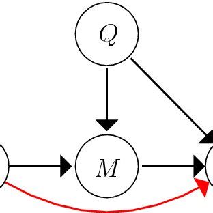 Each Hiring Decision Scenario Is Expressed By Causal Graph Structure In Download Scientific