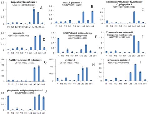 Quantitative RT PCR Validation Of Differential Expressed Transcripts Download Scientific