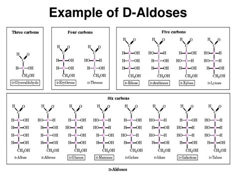 Ppt The Two Families Of Monosaccharides Are Aldose And Ketoses Powerpoint Presentation Id