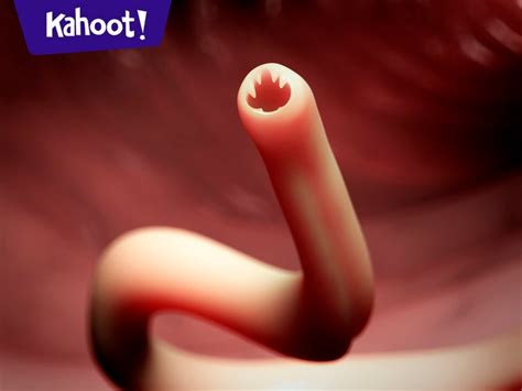Parasitology Hookworms Part 1 Kahoot Quiz