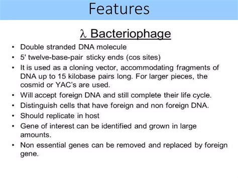Presentation Of Lambda Phage Vactorpptx