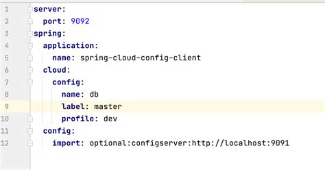 spring cloud config 小鱼先生
